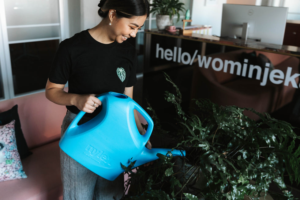 Plant Maintenance – Plant Collector Melbourne