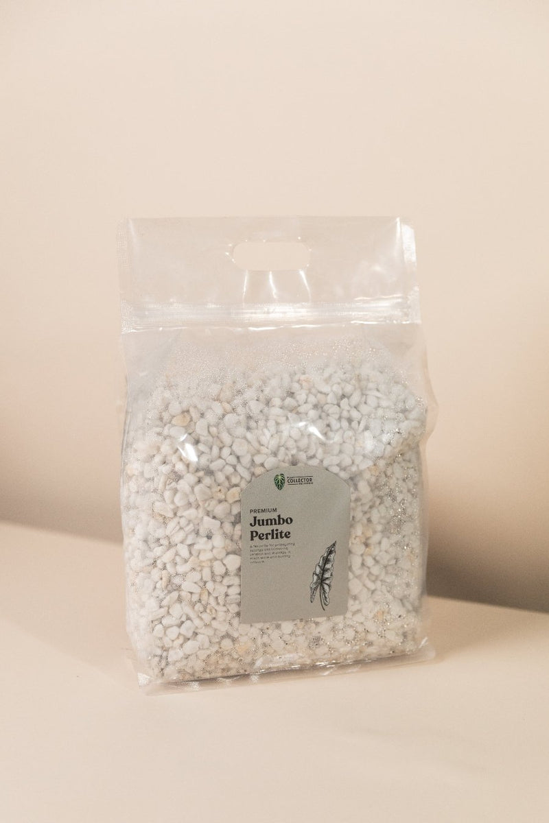 PCM Premium Jumbo Perlite 3L – Plant Collector Melbourne